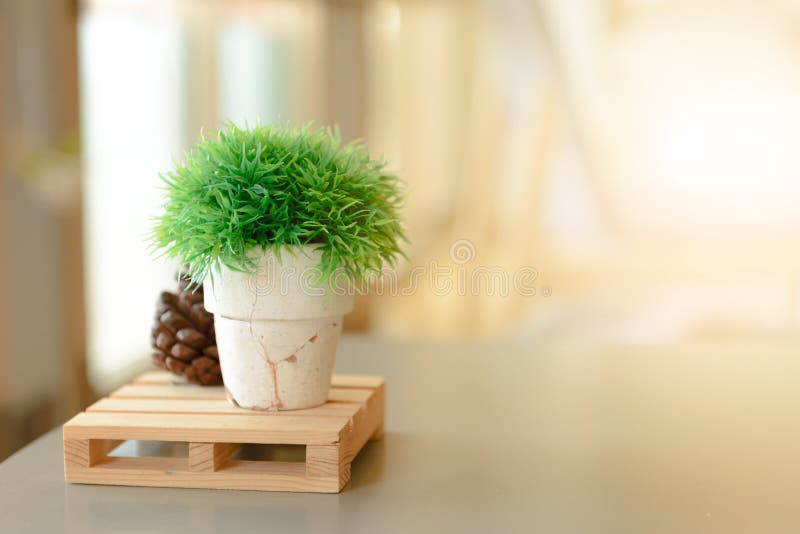 Small Artificial Trees or Artificial Grass in Vase on Table Stock Photo ...