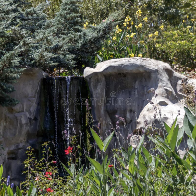 A Small Artificial Freshwater Waterfall that Flows into a Common Living ...
