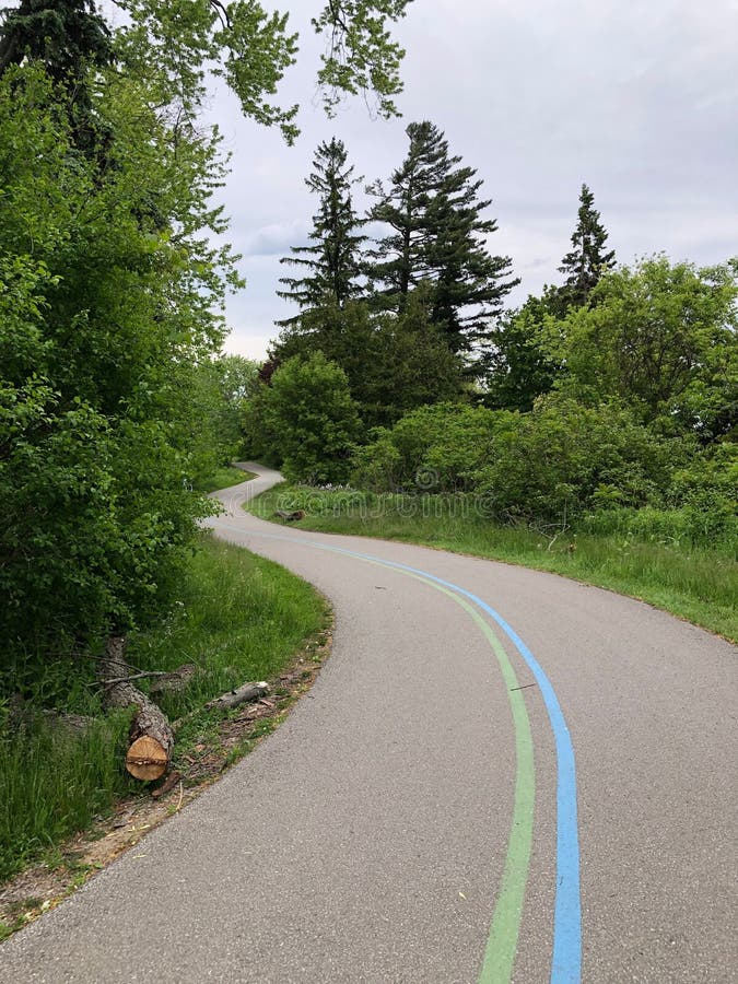 Small Asphalt Road Passing through the Wilderness Surrounded by Trees ...