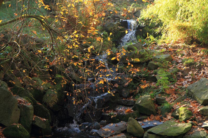 Small autumn brooklet stock photo. Image of creek, flowing - 75881322