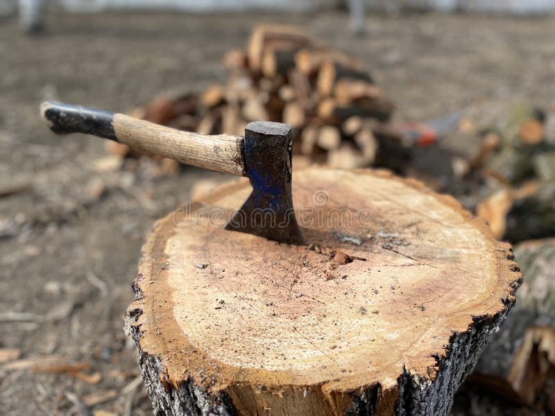 Small Ax in a Wood Log with a Pile of Lumber in the Back. Stock Photo ...