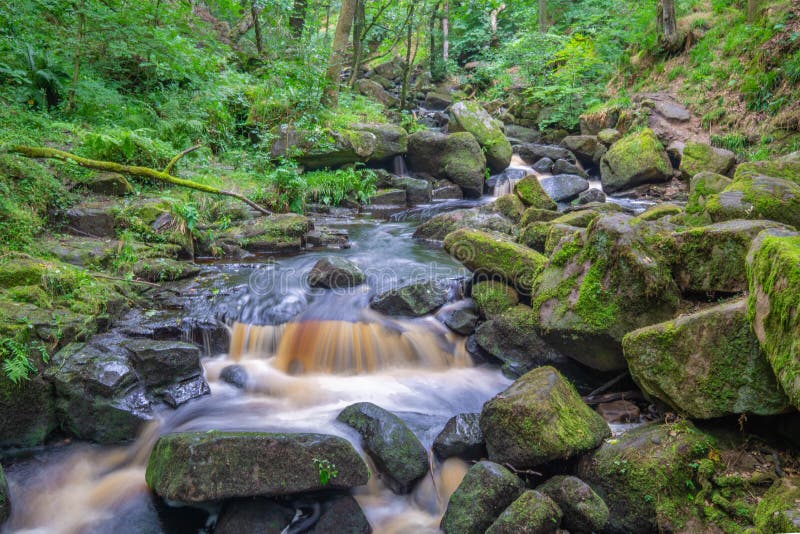 A Small Babbling Brook in Summer Stock Photo - Image of summer ...