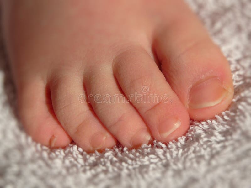 Small baby feet stock photo. Image of safety, family - 13292234