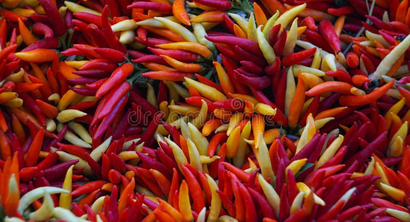 A small ball of red pepper stock image. Image of store - 352037881