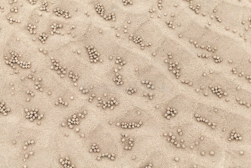 Small Balls on Sand, Natural Photo Stock Photo - Image of environment ...