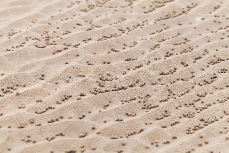 Small Balls of Sand Pattern Stock Photo - Image of bubbler, pattern ...