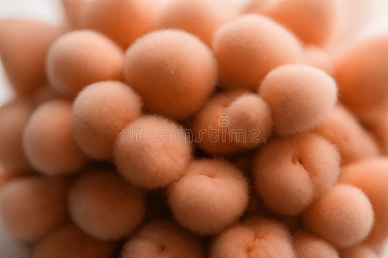 Small Balls of Wool, the Color of Peach Fuzz Stock Illustration ...