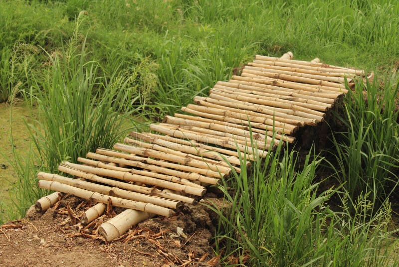 Small bamboo bridge stock image. Image of farm, beauty - 73213519