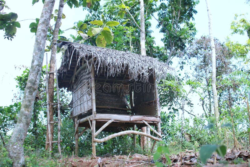 Small Bamboo Huts stock image. Image of background, java - 220568269