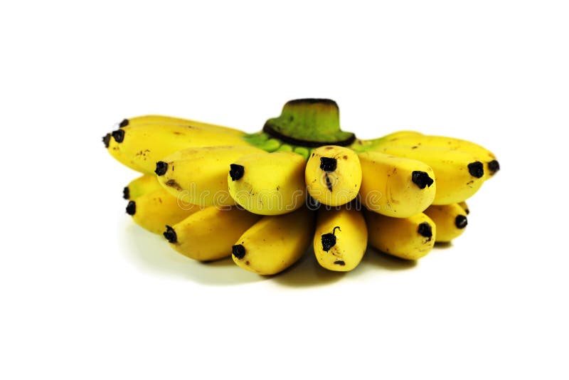 Small bananas 3 stock image. Image of fruit, ingredient - 43102343
