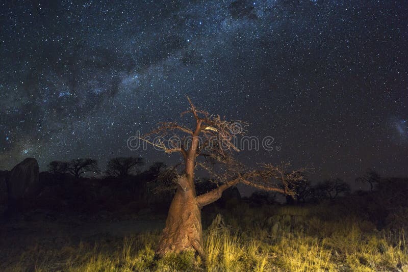 Small Baobab Tree and Milkyway Stock Photo - Image of camping, island ...