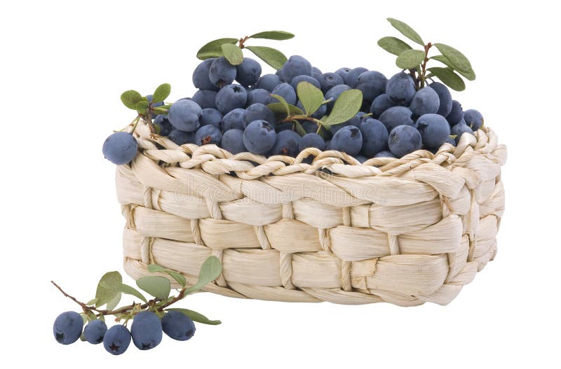 Small Basket, Full of Fresh Blueberries Stock Photo - Image of ...