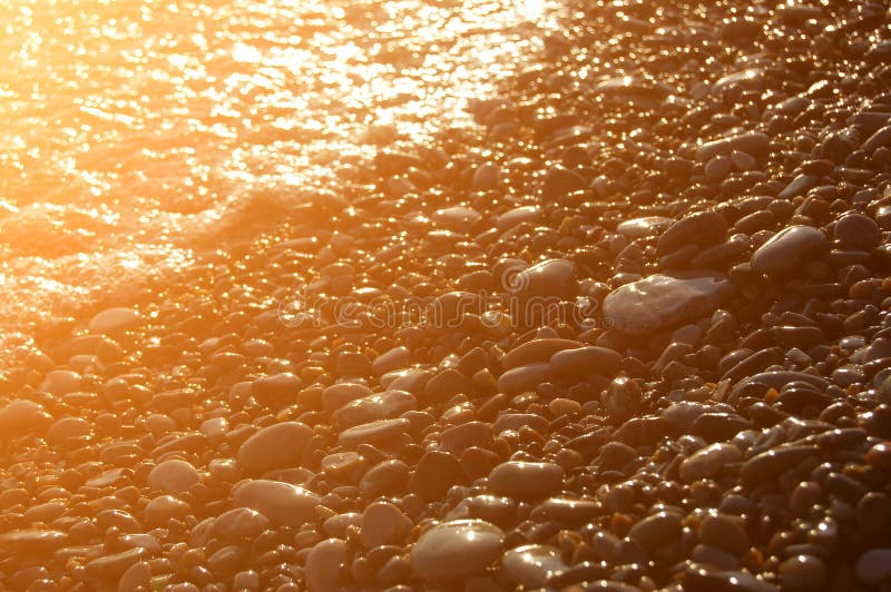 Small Beach Rocks on the Shore Stock Photo - Image of grey, nature ...