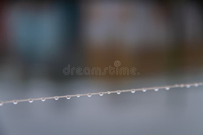 Small Beads of Water Drops on a String Fading Out of Focus Stock Photo ...