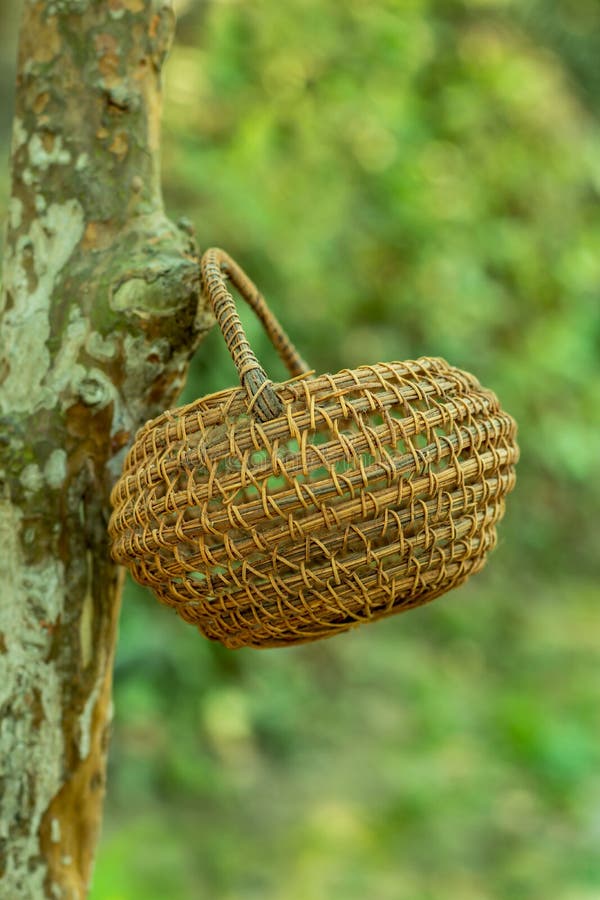 A Small Beautiful Basket Made of Bamboo Cane and Other Materials Stock ...