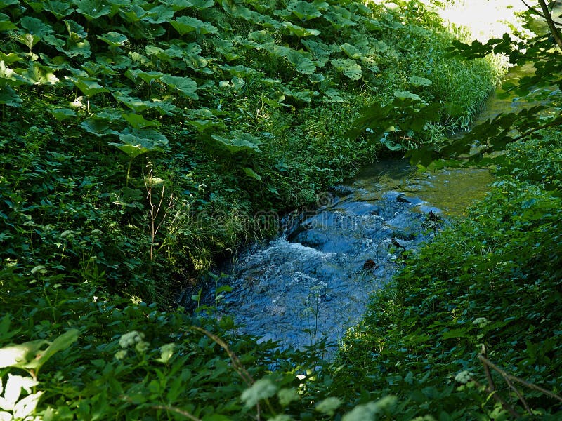 Beautiful brook image stock photo. Image of magical - 114969586