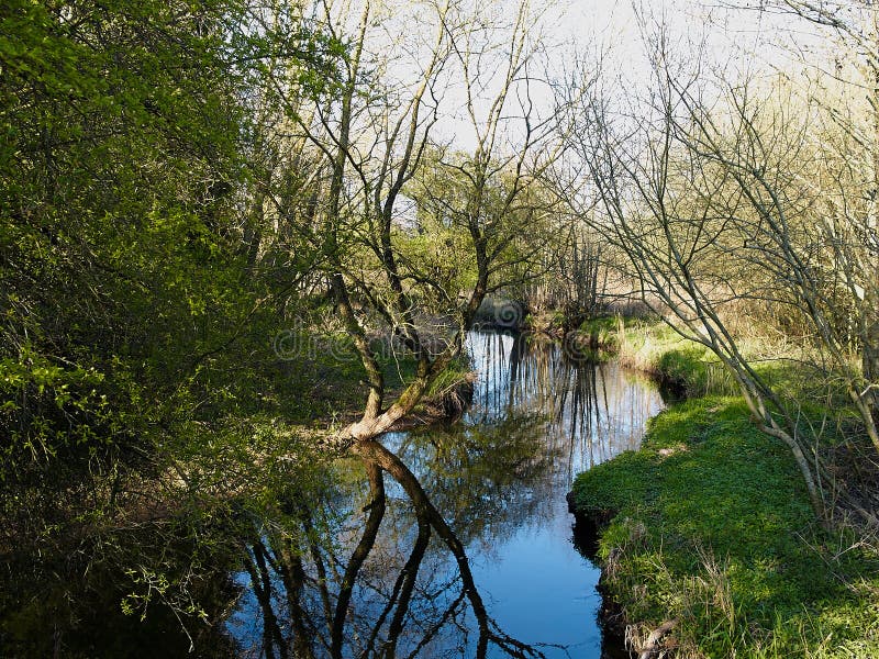 Beautiful brook image stock photo. Image of magical - 114969586