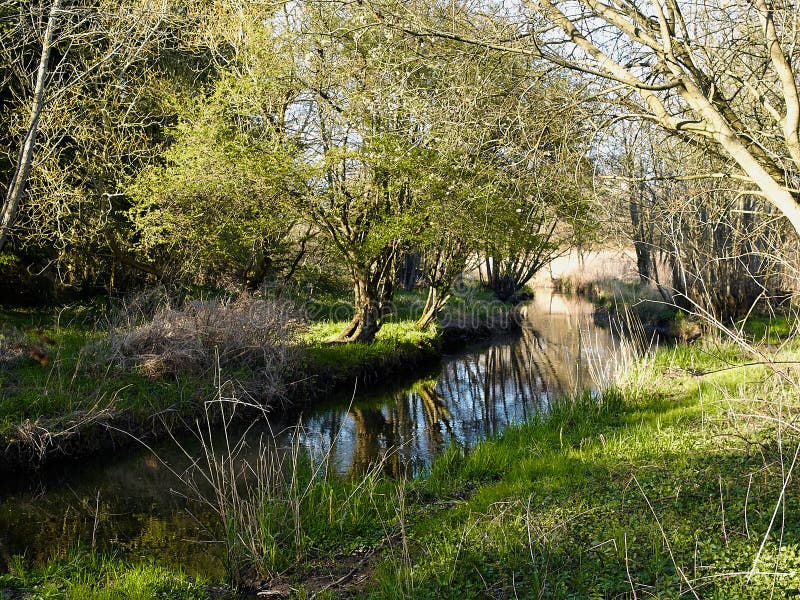 Beautiful brook image stock photo. Image of magical - 114969586