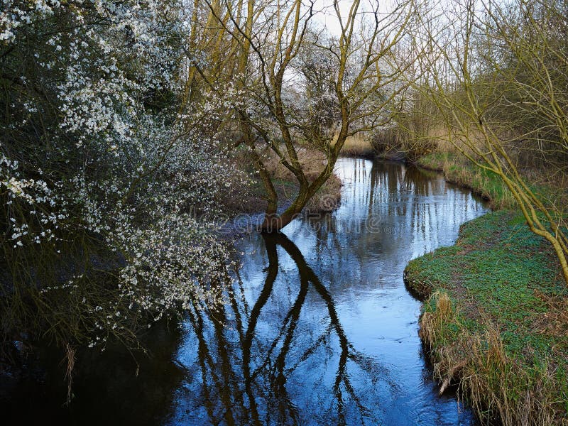 Beautiful brook image stock photo. Image of magical - 114969586