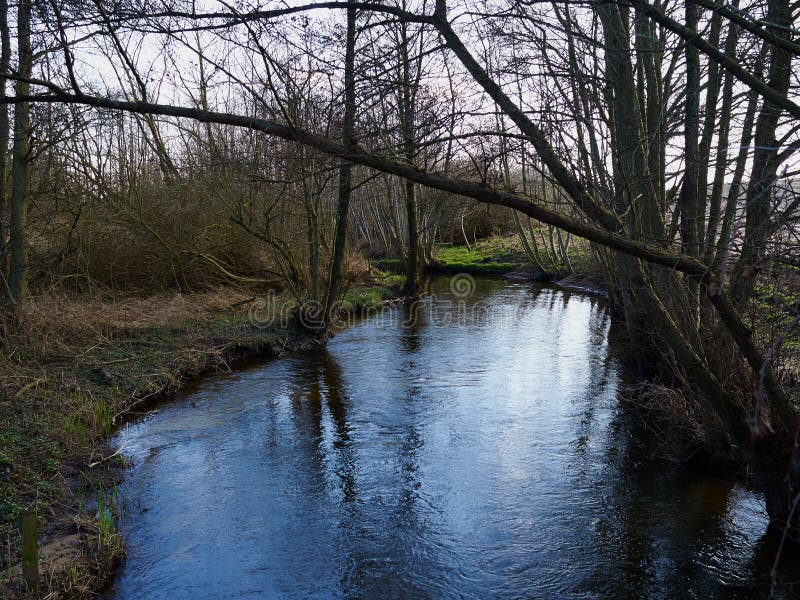 Beautiful brook image stock photo. Image of magical - 114969586