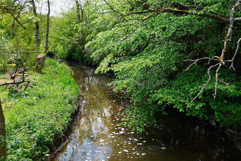Beautiful brook image stock photo. Image of magical - 114969586