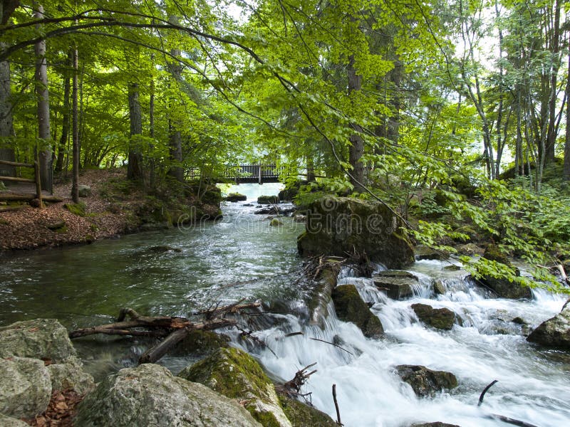 Small Beautiful Brook Stream Waterfall in a Forest Stock Image - Image ...