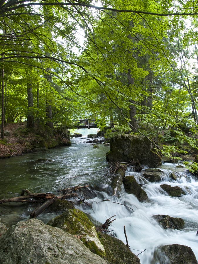 Beautiful brook image stock photo. Image of magical - 114969586