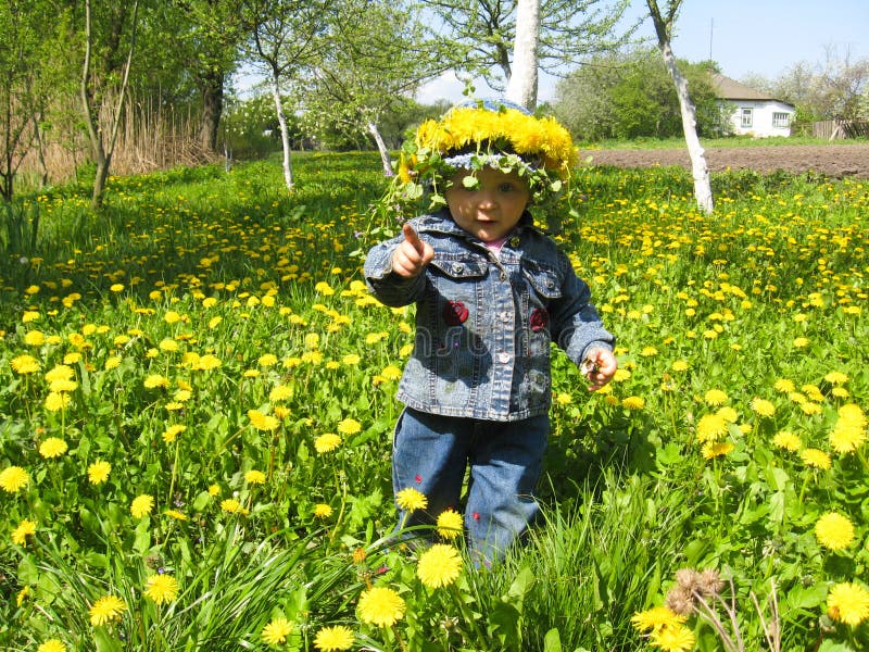 Beautiful Child with Dandelions in the Spring Stock Photo - Image of ...