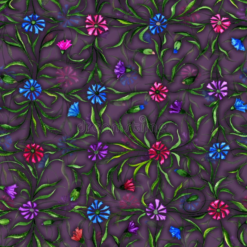 Beautiful Small Cornflowers Stock Illustrations – 196 Beautiful Small ...