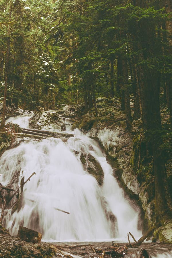 Small Beautiful Pure White Clean Waterfall in the Forest Stock Photo ...