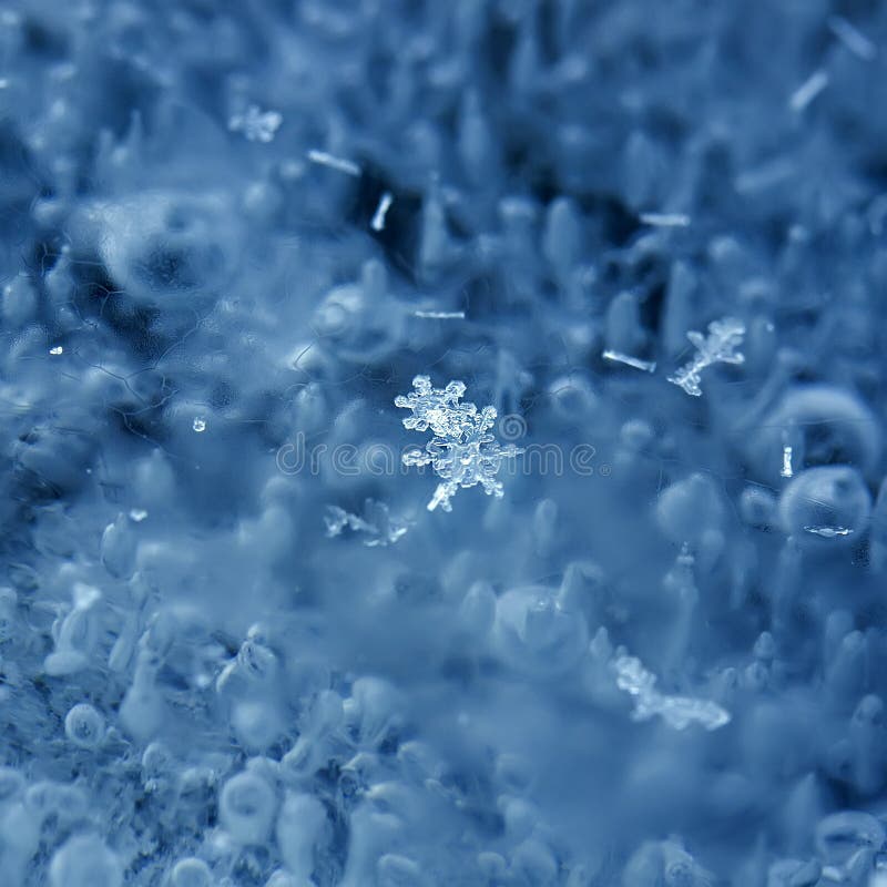 Small Beautiful Shiny Snowflakes Lie on the Background of Cold I Stock ...