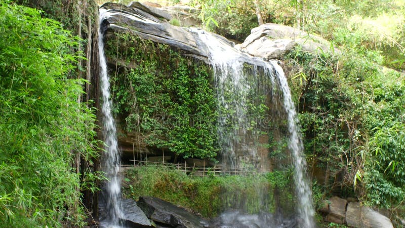 Small Beautiful Waterfall in the Jungle Stock Footage - Video of ...