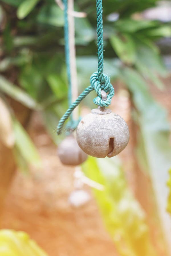 Small Bells in the Park with Orange Light Stock Photo - Image of ...