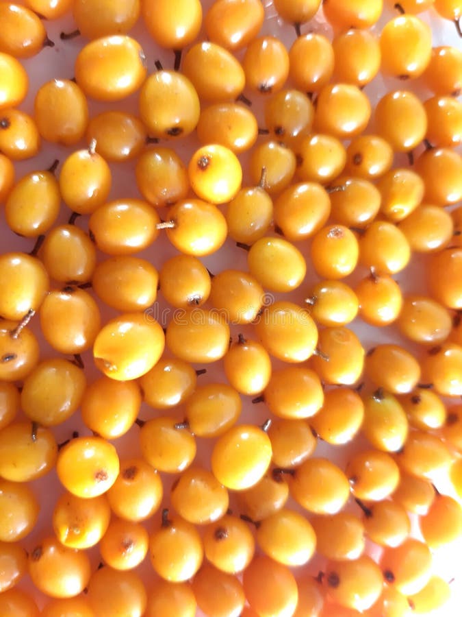 Small Berries Photo. Fruit Summer Background Color Stock Photo - Image ...