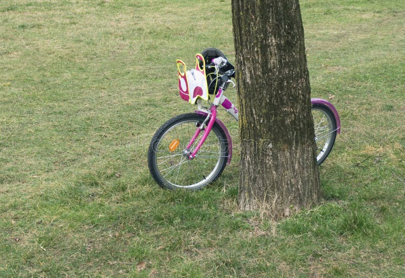 Small Bicycle and Tree Trunk Stock Image - Image of childhood, biking ...