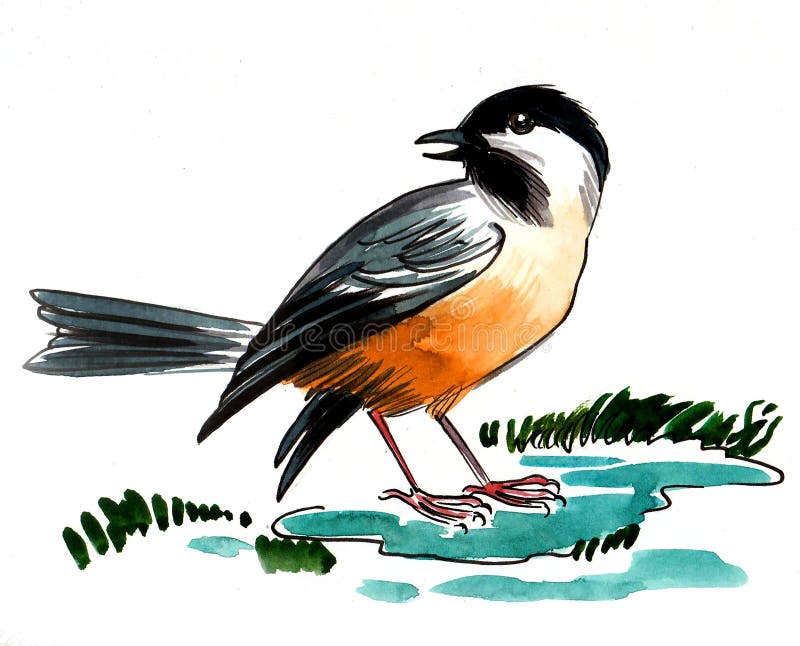 Small bird stock illustration. Illustration of duck - 364394230