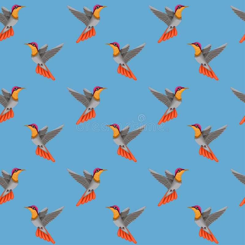 Hummingbirds pattern stock vector. Illustration of modern - 128576362