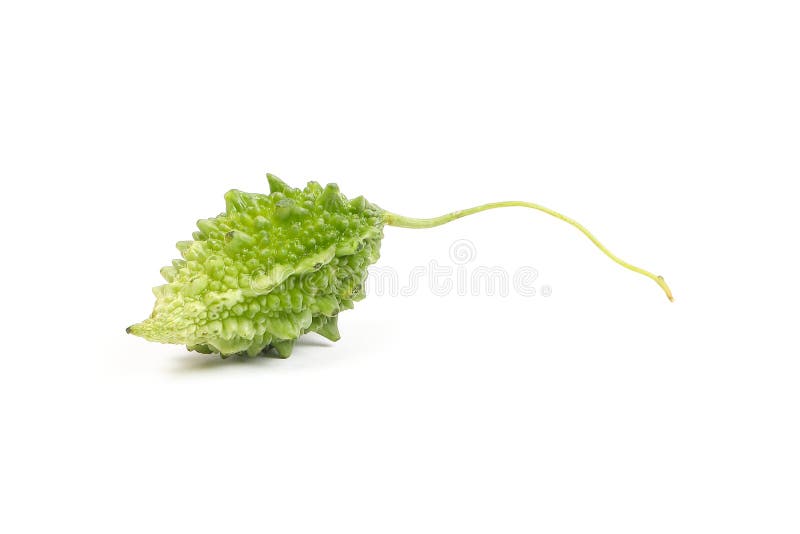 Small bitter gourd melon stock image. Image of nature - 80648807
