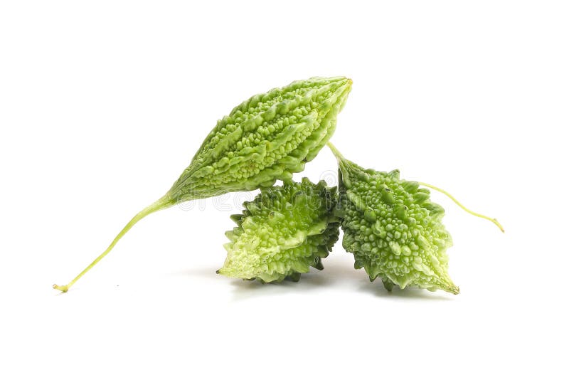 Small bitter gourd melon stock photo. Image of organic - 80650058