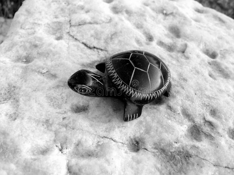 Stone turtle stock image. Image of cute, turtle, stone - 79061145