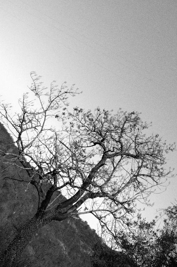 Stock Photos and Royalty-Free Images by Dreamstime