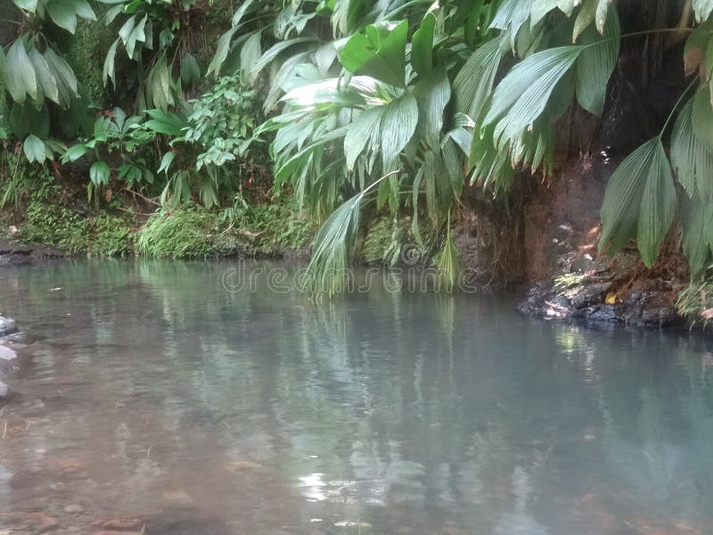 A Small Blue Lake in the Rainforest Stock Image - Image of small ...