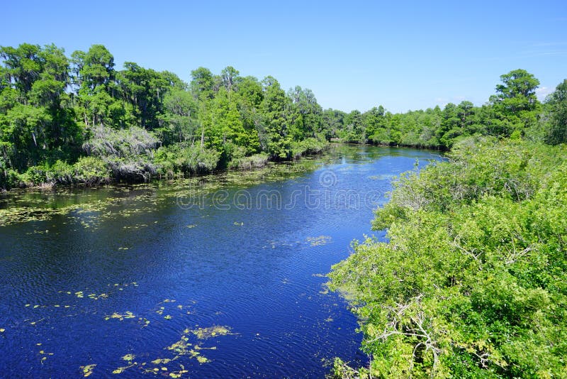 A small blue lake and tree stock photo. Image of bicyclists - 52712092