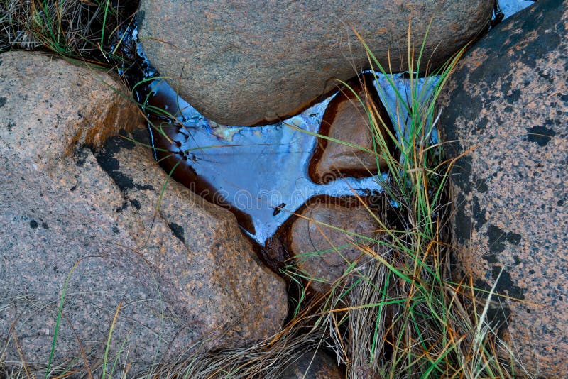Small Blue Puddle between Large Stones with Green Grass Stock Photo ...