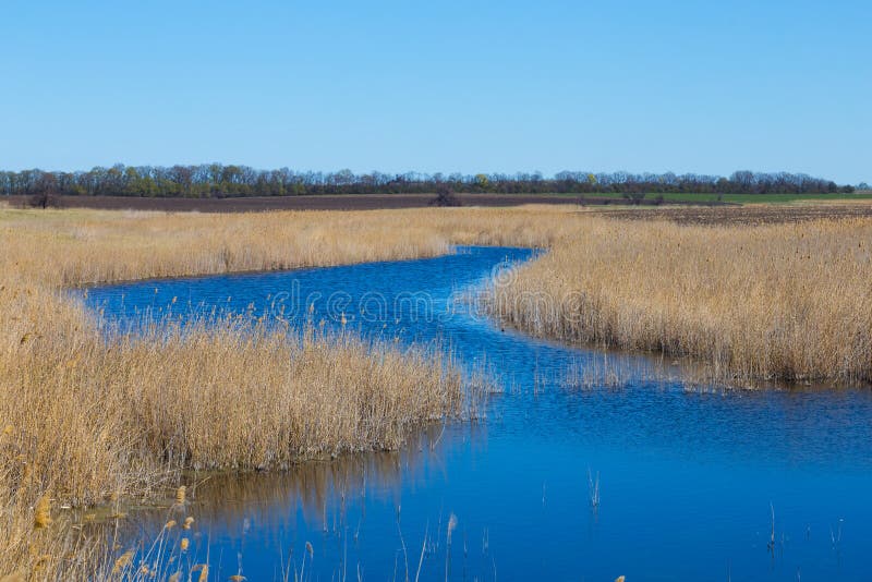 Small Blue River Flow among a Prairie Stock Image - Image of brushwood ...