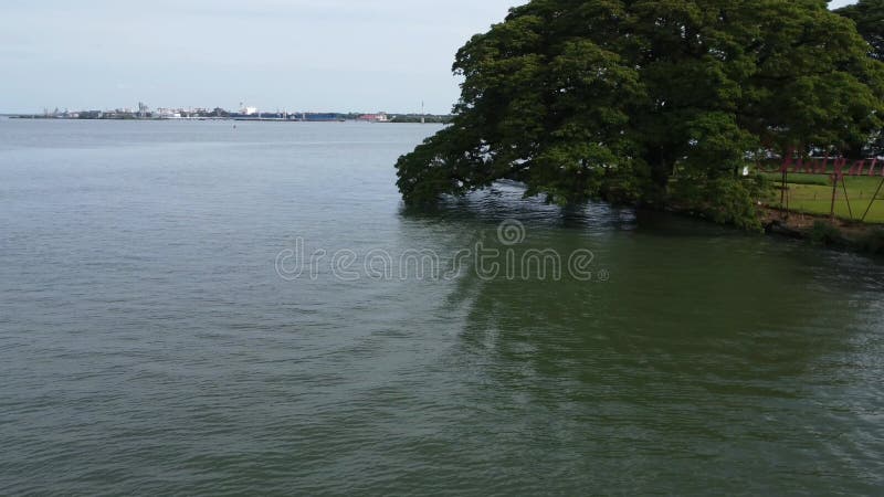 Small Boat in a River Going Under a Beautiful Tree Stock Footage ...