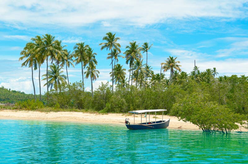 Small Boat on the Shore of an Island Paradise Stock Photo - Image of ...