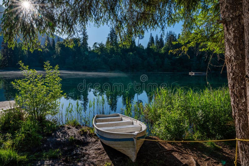 Small Boat Tied To a Tree Near the Lake Stock Photo - Image of nature ...