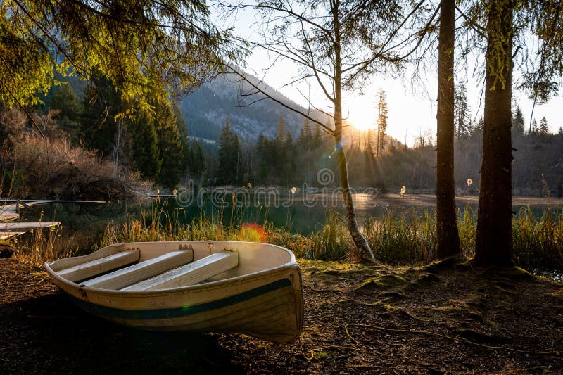 Small Boat Tied To a Tree Near the Lake Stock Photo - Image of scenic ...