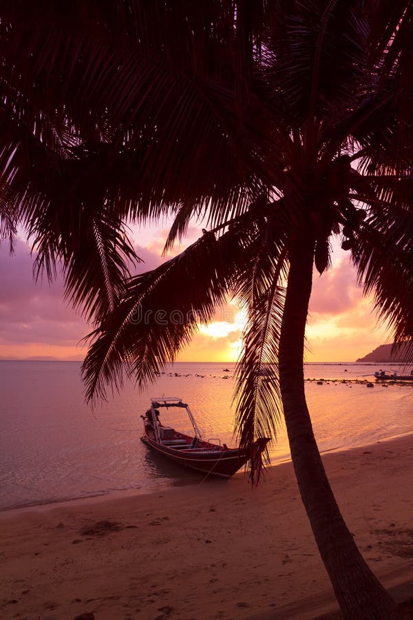 Boat And Palm Trees At Sunset Stock Photo - Image of cancun, island ...